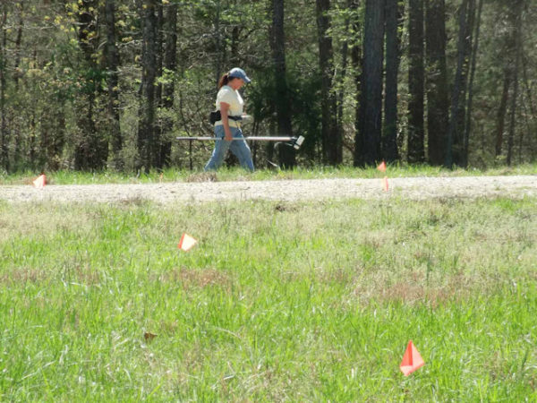 Geometrics Magnetometer Survey - Geophysical Services From Geophysicists