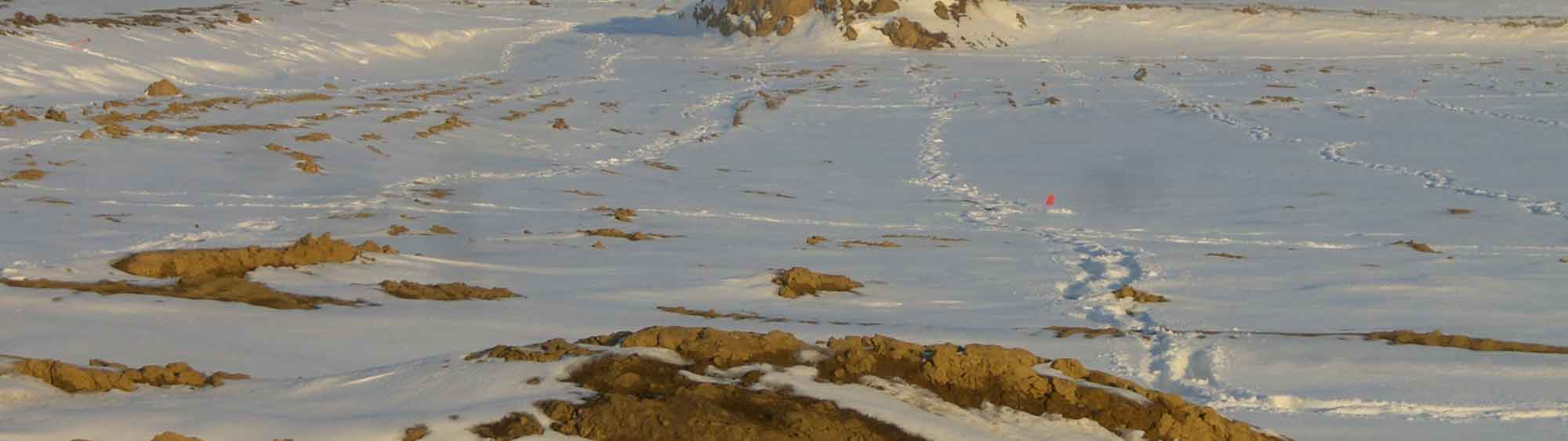 Geophysical surveying and mapping services (geology engineering other)